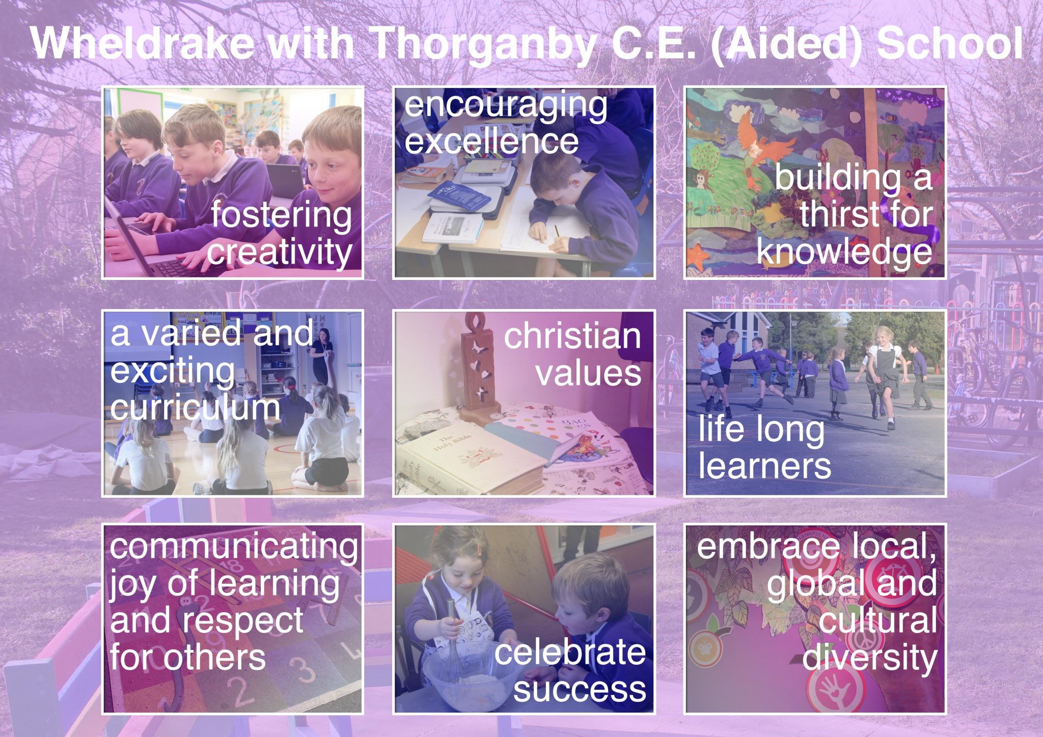 Our Vision and Values – Wheldrake With Thorganby Primary School